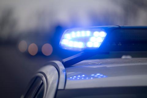 Kuh im Hochtaunuskreis vermutlich durch Schüsse verletzt