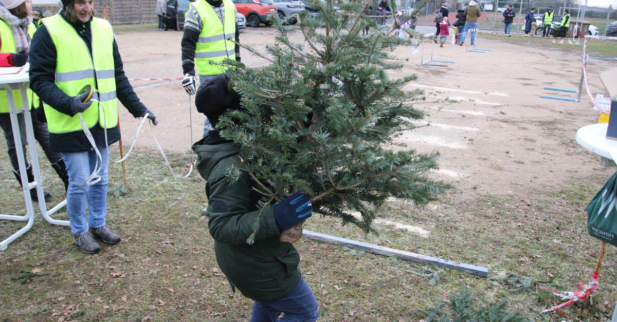 Flörsheim: Wenn der Weihnachtsbaum beim TG Weilbach zum Sportgerät wird