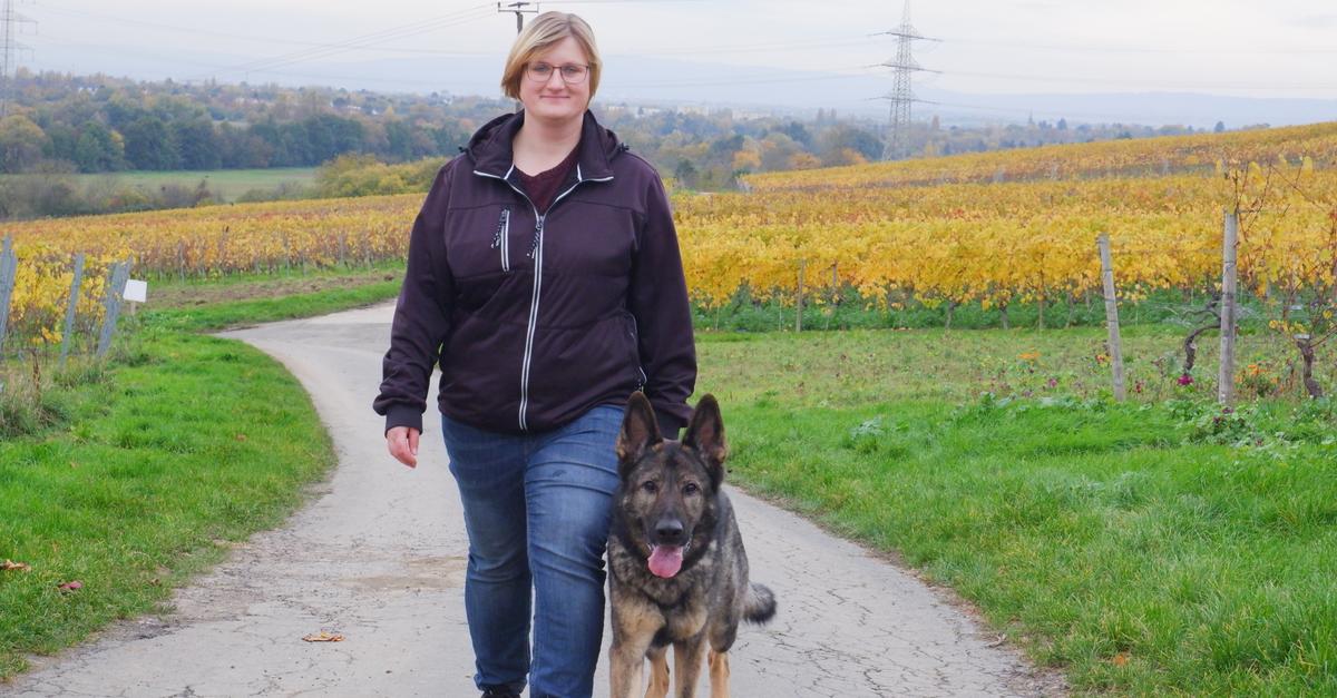 Schäferhund aus Flörsheim gewinnt hessische Fährtenmeisterschaft
