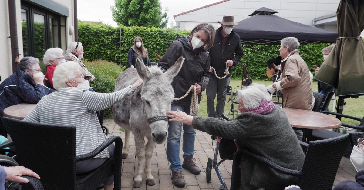 Eselbesuch im Flörsheimer Altenheim