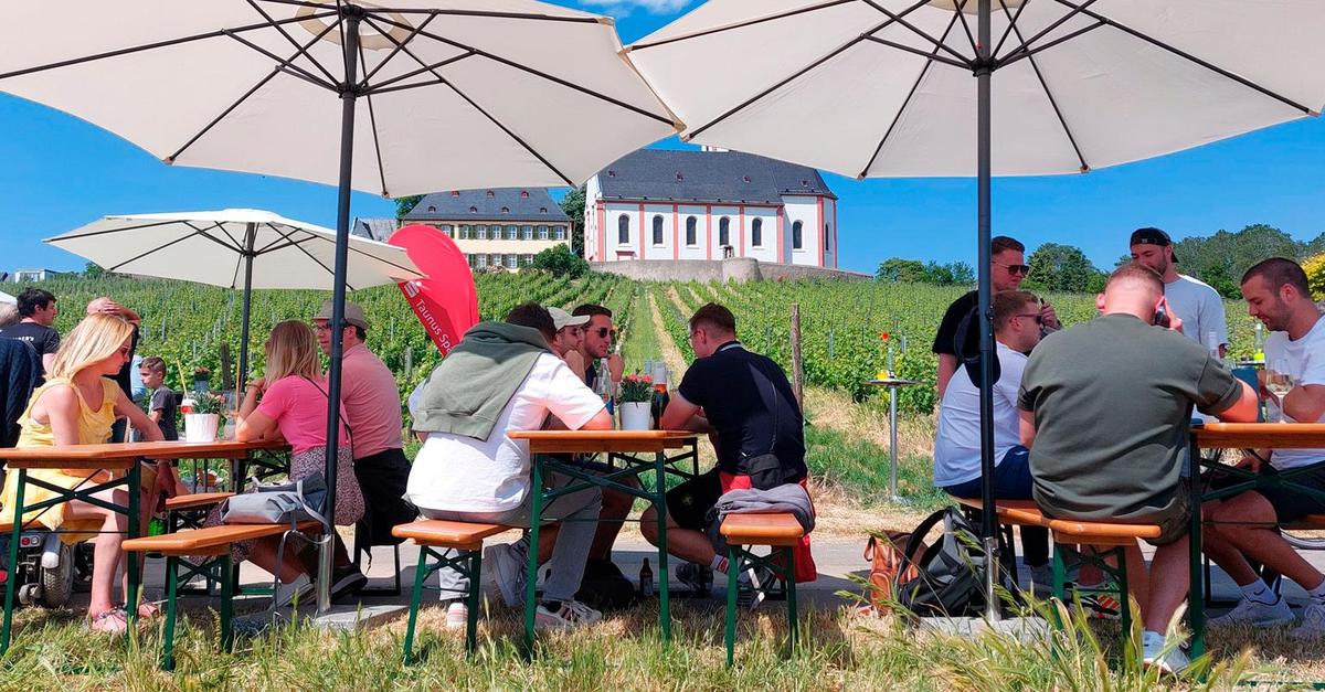 Weinmeile rund um Hochheims Wahrzeichen