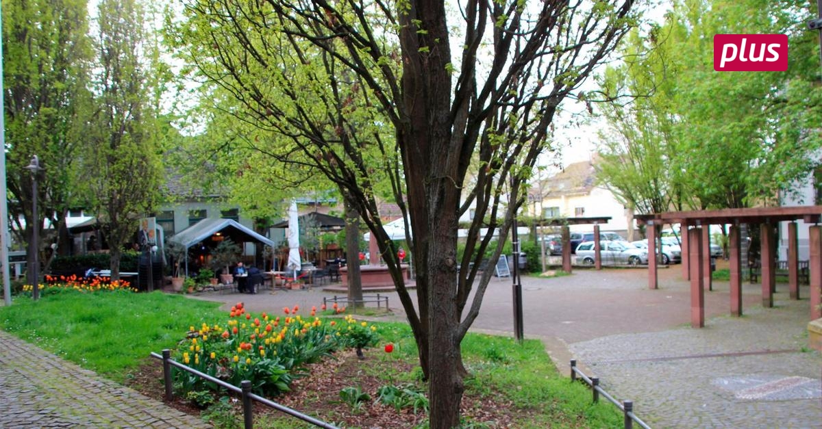 Fragen zum Recepturhof in Wallau | Main-Spitze