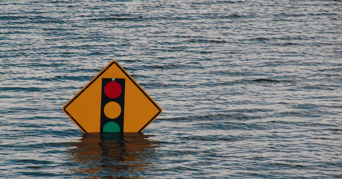 Klima ist auch Kopfsache: Wieso manche nichts tun