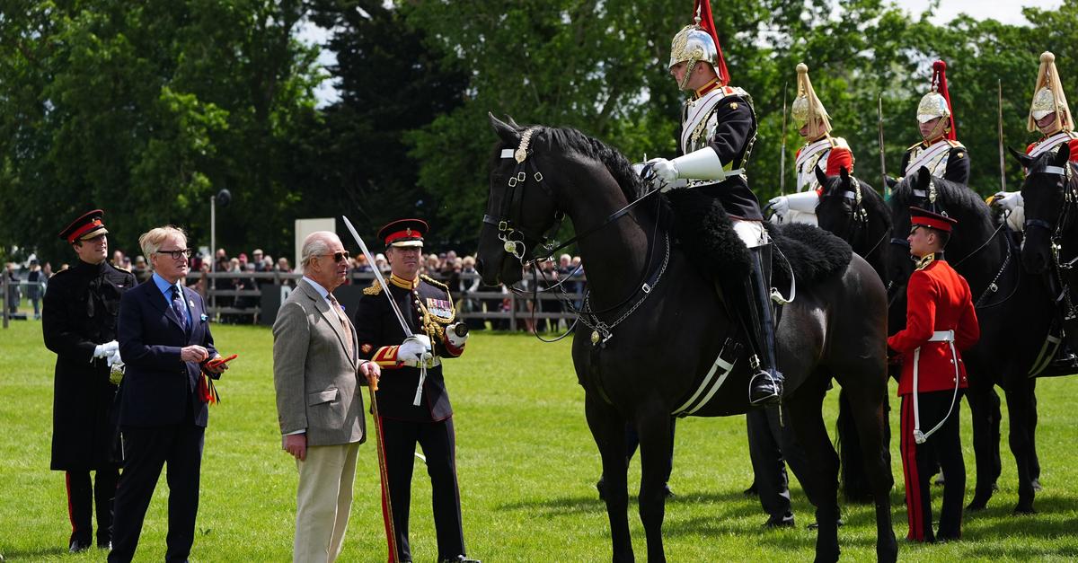 Soldat stirbt bei Pferde-Show in Windsor – König schockiert