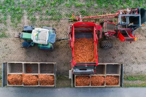 Bio kräftig im Plus - aber nicht auf den Feldern